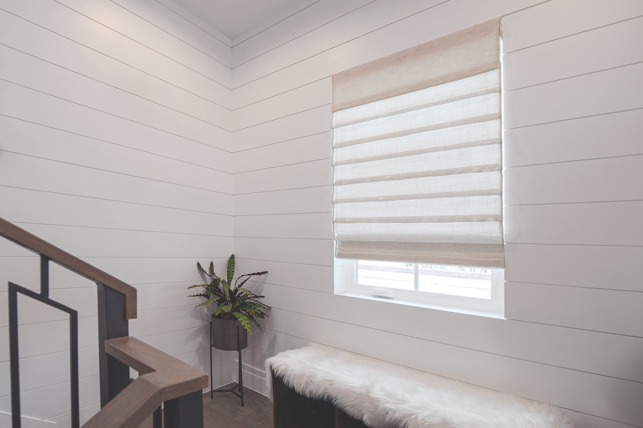 Blinds | NORMAN